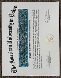 The American University in Cairo Fake Diploma Selling Online | Best ...