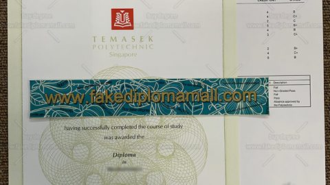 Where To Buy Temasek Poly Fake Diploma With Transcript? | Best Site To ...