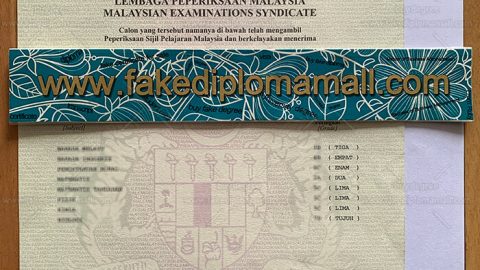 How To Get the Malaysian SPM Diploma Quickly? | Best Site to Buy Fake ...